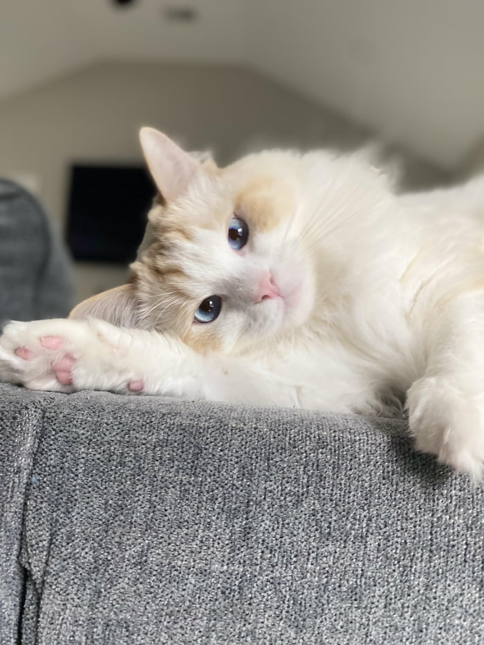 My perfect little mess - 9GAG