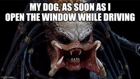 Funny Predator Memes