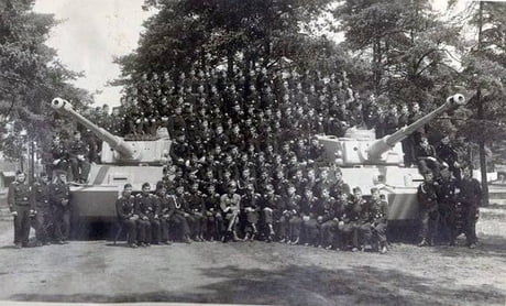 Best Funny tiger Memes - 9GAG