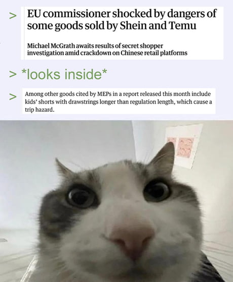 Best Funny shein Memes - 9GAG