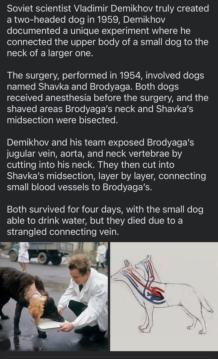 Someone is playing God - 9GAG