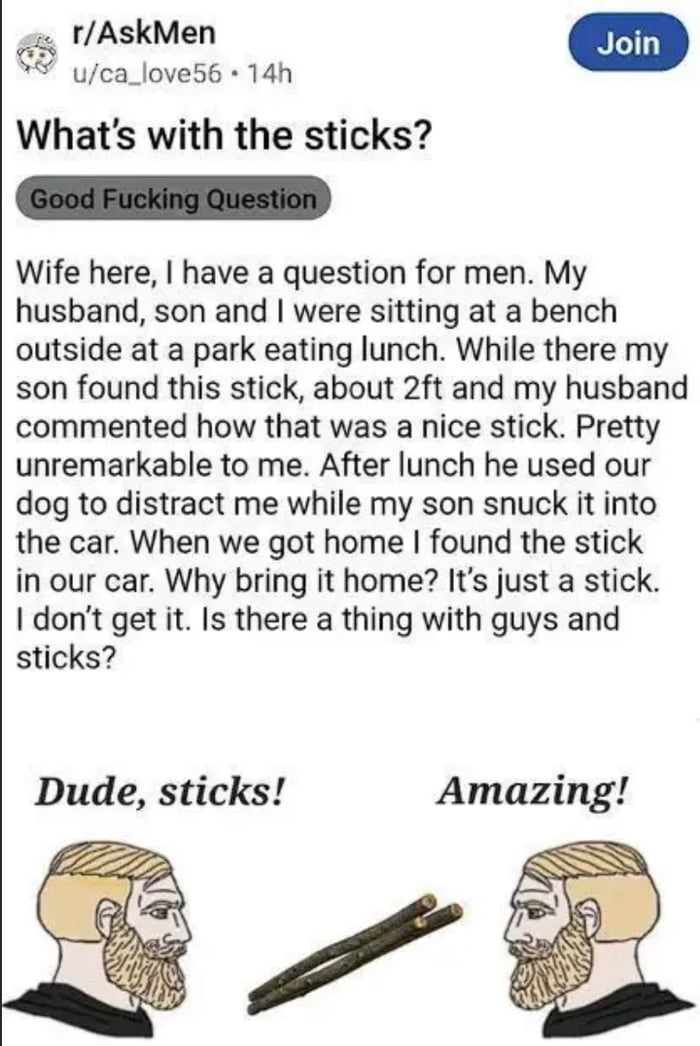 Everybody love them some good stick - 9GAG