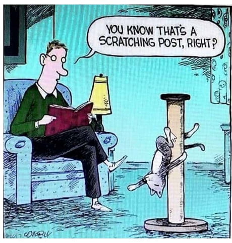 Best Funny pole dance Memes - 9GAG