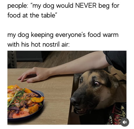 Best Funny beg Memes - 9GAG