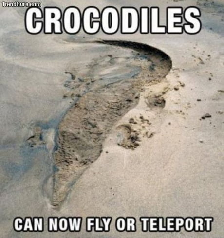 Best Funny fly Memes - 9GAG