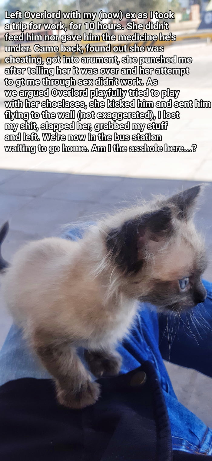 Shit went south. He's fine. - 9GAG