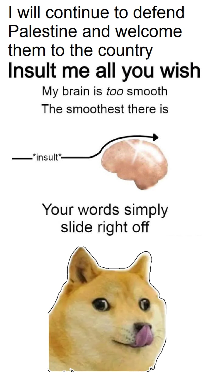 Never underestimate the power of smooth brains - 9GAG