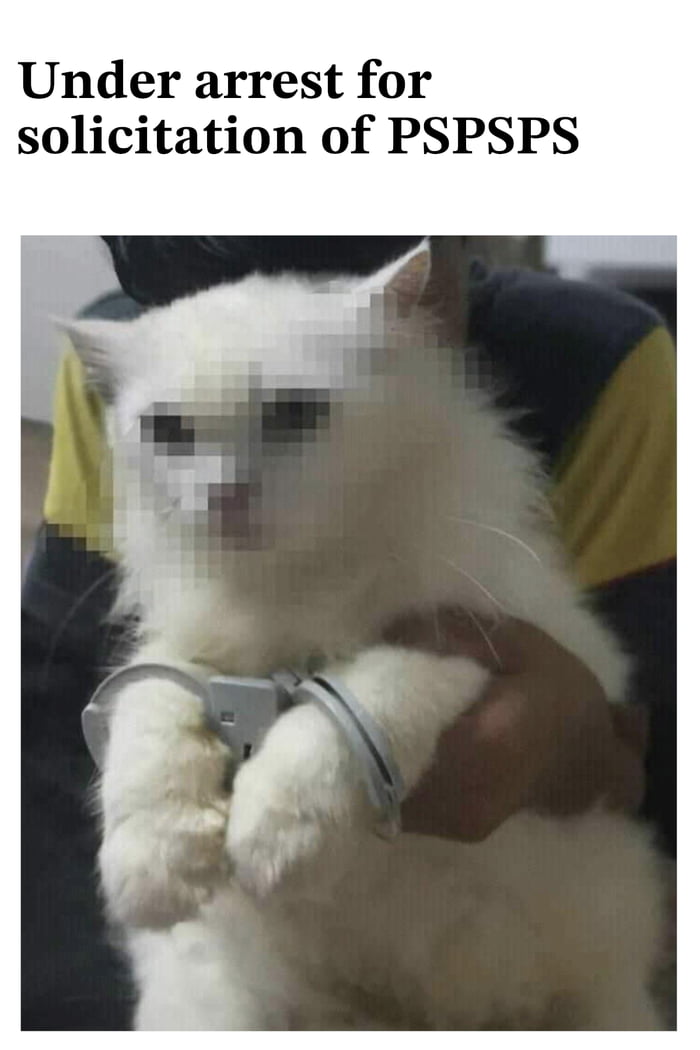 What a Cat-tastrophe, - 9GAG