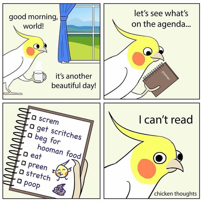 I can read, but I don't want to. Scream. - 9GAG