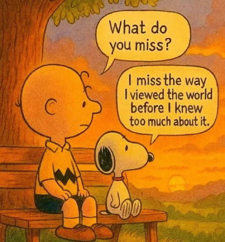 Best Funny snoopy Memes - 9GAG