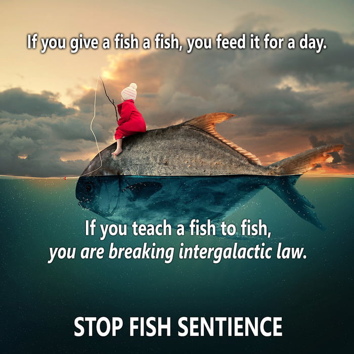 If you see fish doing something, say something - 9GAG