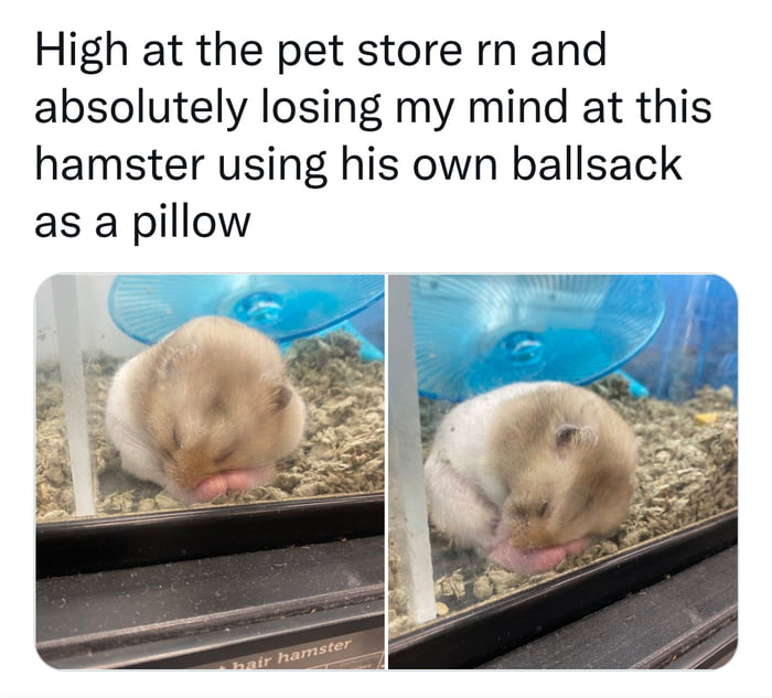 Use your blessings. - 9GAG