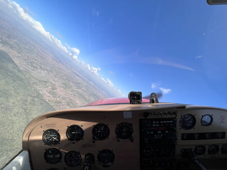 Goose parade in Denmark - 9GAG