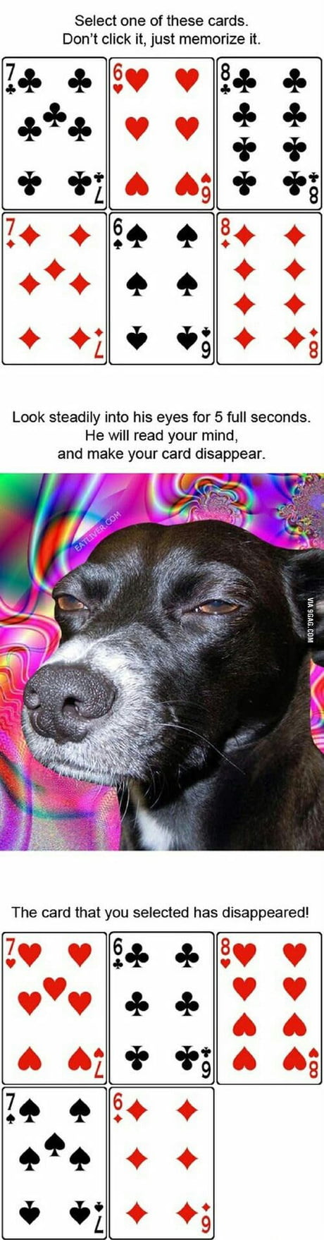 Best Funny magic Memes - 9GAG