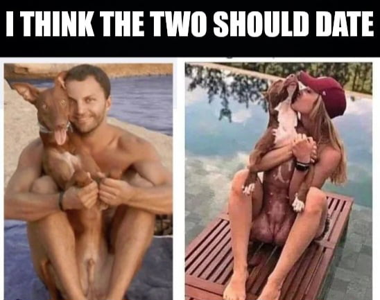 I mean the dogs - 9GAG