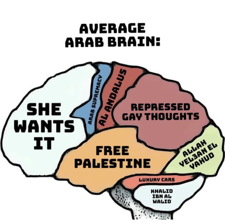Best Funny brain Memes - 9GAG