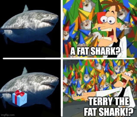 Best Funny perry the platypus Memes - 9GAG