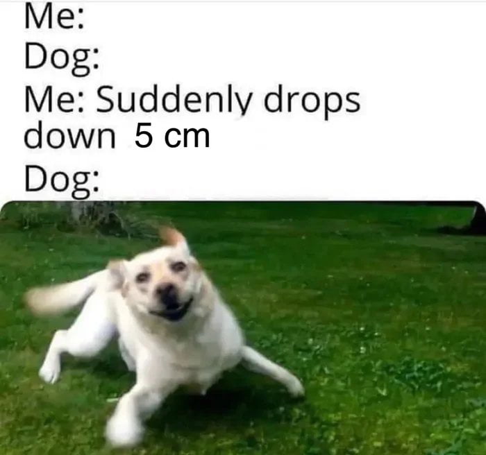 PSA: This meme is not about memes being back - 9GAG