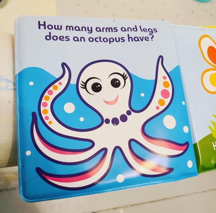 How many arms and legs does an octopus have? Really?! - 9GAG