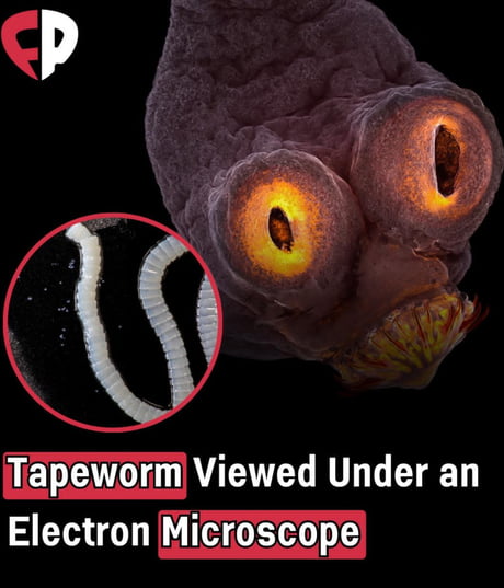 Microscope Memes The Best Microscope Memes :) Memedroid