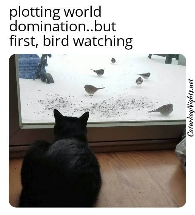 It's good to have hobbies - 9GAG