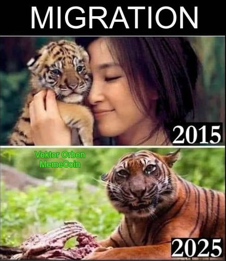 Best Funny migration Memes - 9GAG