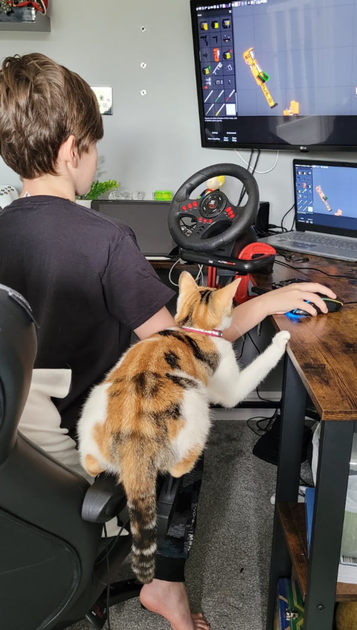 Wannabe Gamer Cat - 9GAG