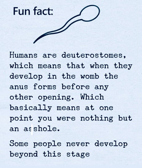 Best Funny fun fact Memes - 9GAG