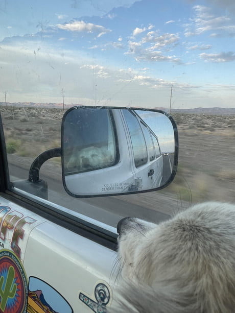 Best Funny passenger princess Memes - 9GAG