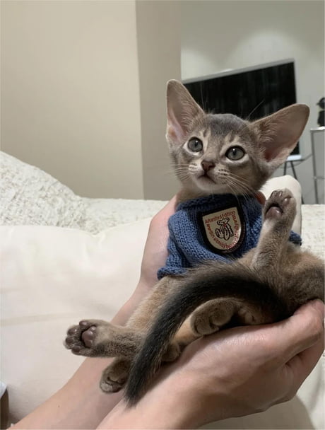 Best Funny star Memes - 9GAG