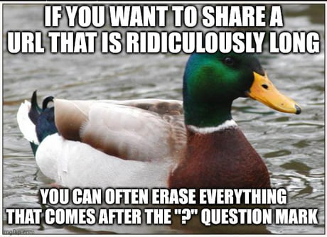 Best Funny duck Memes - 9GAG