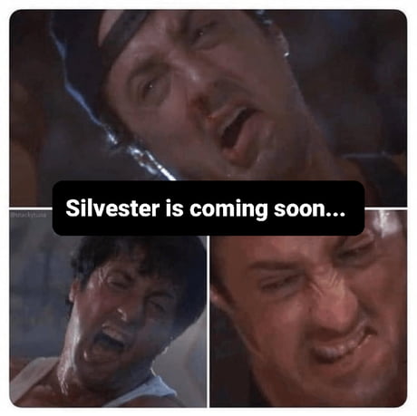 Sly Stallone Memes