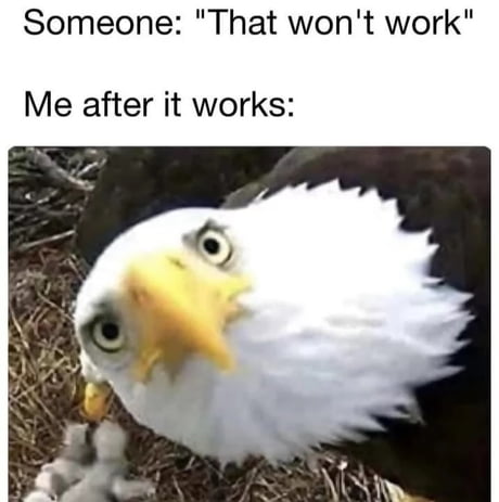 Hilarious Eagle Memes