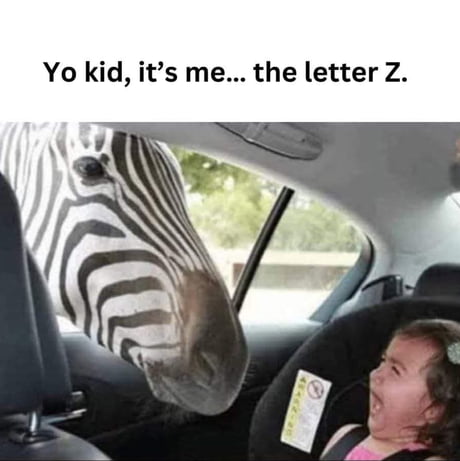 Funny Zebra Memes