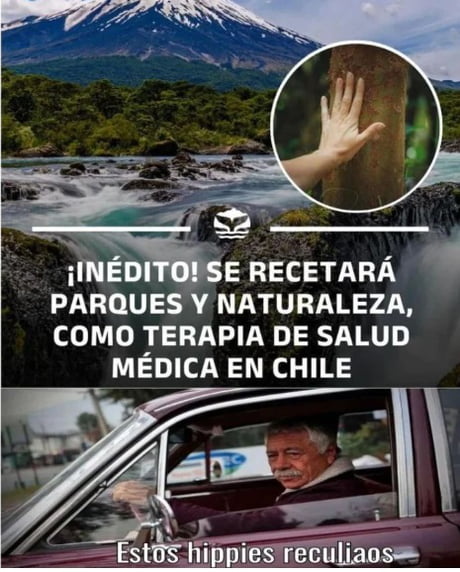 Funny Chile 🇨🇱 Memes - 9GAG