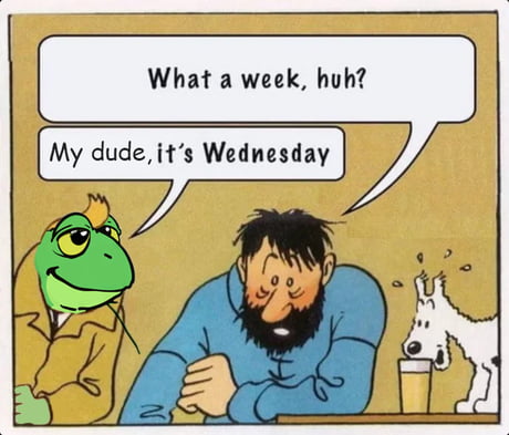 Best Funny tintin Memes - 9GAG