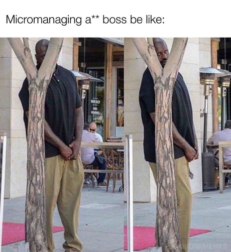 Best Funny boss Memes - 9GAG