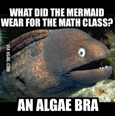 An algae bra - 9GAG