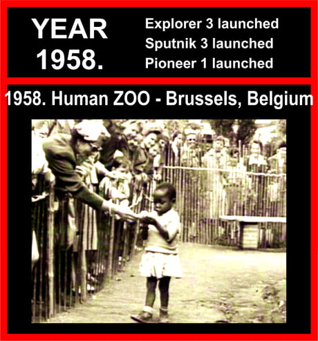 Best Funny human zoo Memes - 9GAG