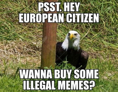Smuggar Memes Wanted Poster. Budgie Smuggler. Funny Bird Funny