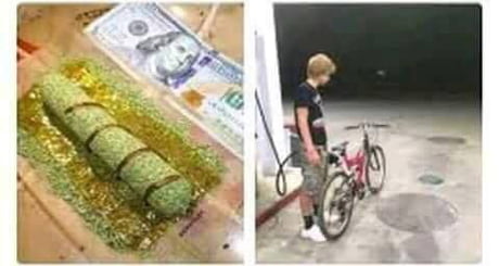 Best Funny smoke trees Memes - 9GAG