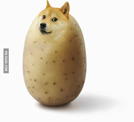 Doge Such Potato