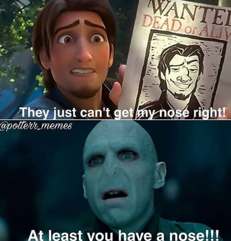 Voldemort Memes