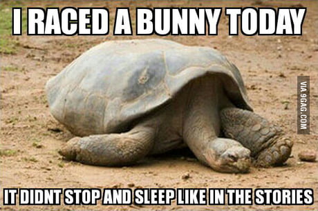 Depression Turtle Memes