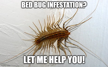 Best Funny centipede Memes - 9GAG