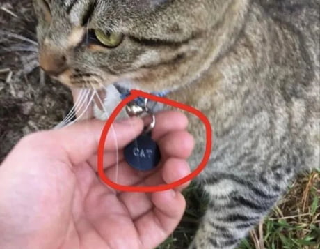 Best Funny source code Memes - 9GAG