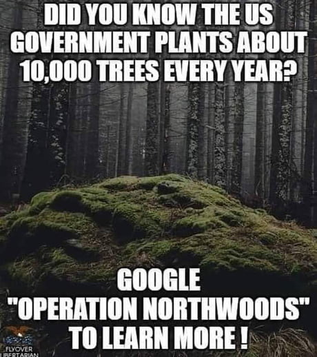 Best Funny deep state Memes - 9GAG