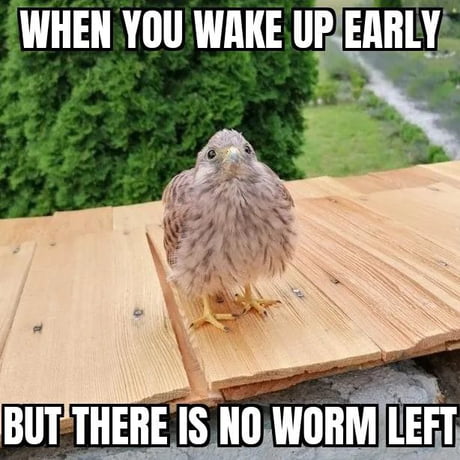 Early Riser Memes Early Bird Gets The Worm Stock Illustration.