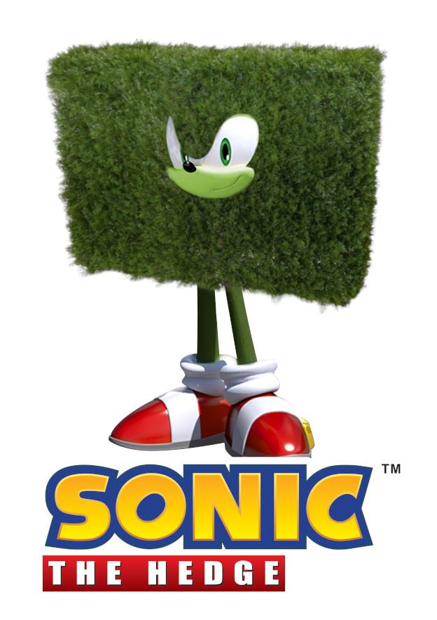 Sonic the hedge - 9GAG
