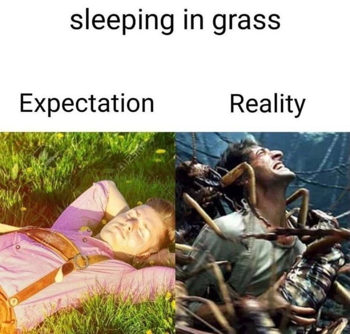 Sleeping in grass - 9GAG